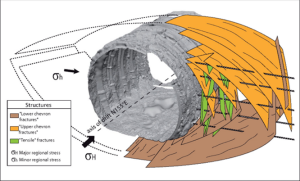 Gas interference tests for tomographic analysis | References ...